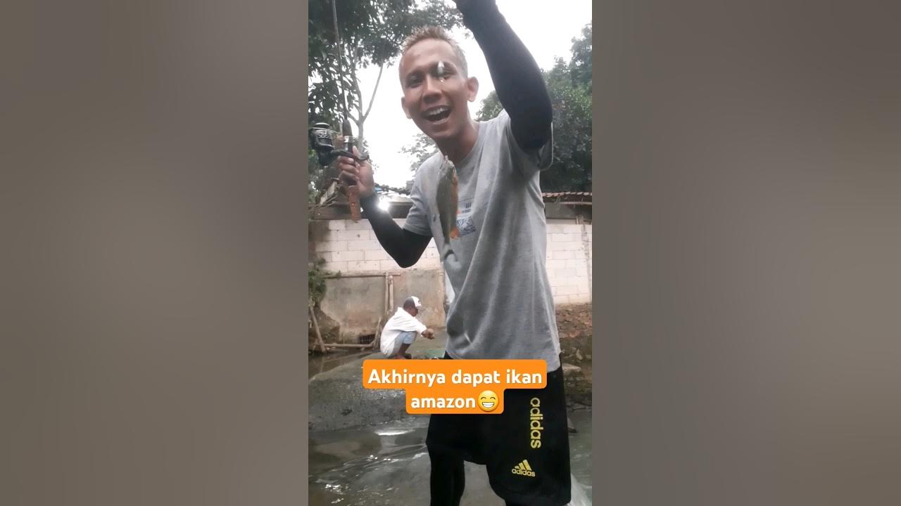 Strike ikan dari amazon kah?😁 #mancing #fishing #predatorrawa #mancingvlog #vlog #mancingmania # ...