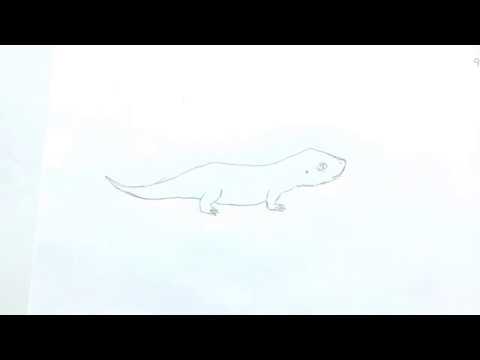 Lizard walk cycle - YouTube