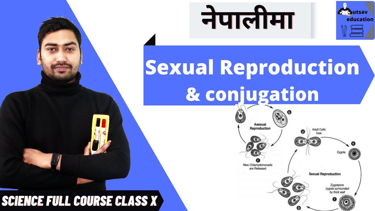 Science Class 10 Biology Reproduction Sexual Reproduction And
