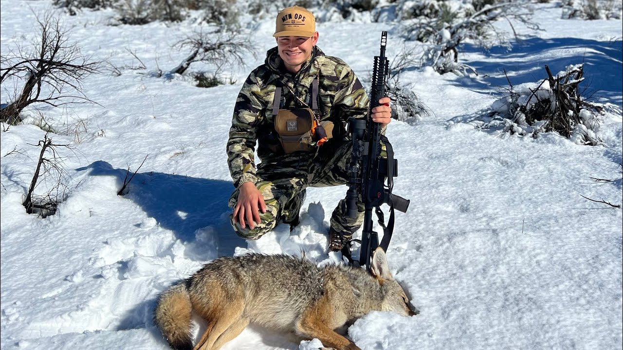 California coyote hunting in the snow 💥🐺 - YouTube