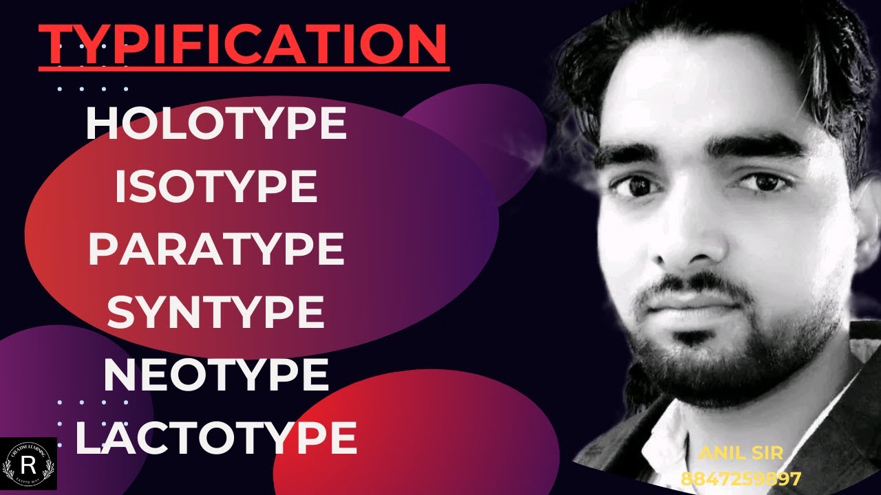 TYPIFICATION = WITHTRICK///-HOLOTYPE//SYNTYPE//LACTOTYPE//ISOTYPE ...