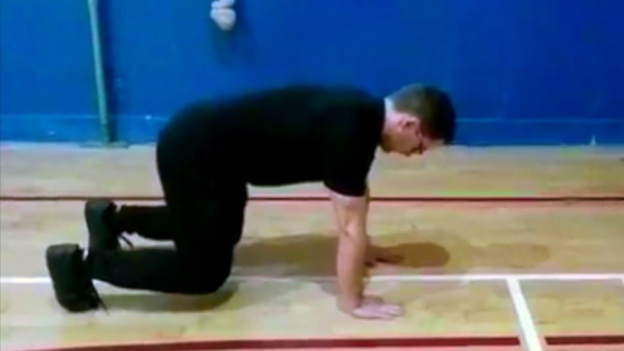 Bear Crawl Prep - YouTube