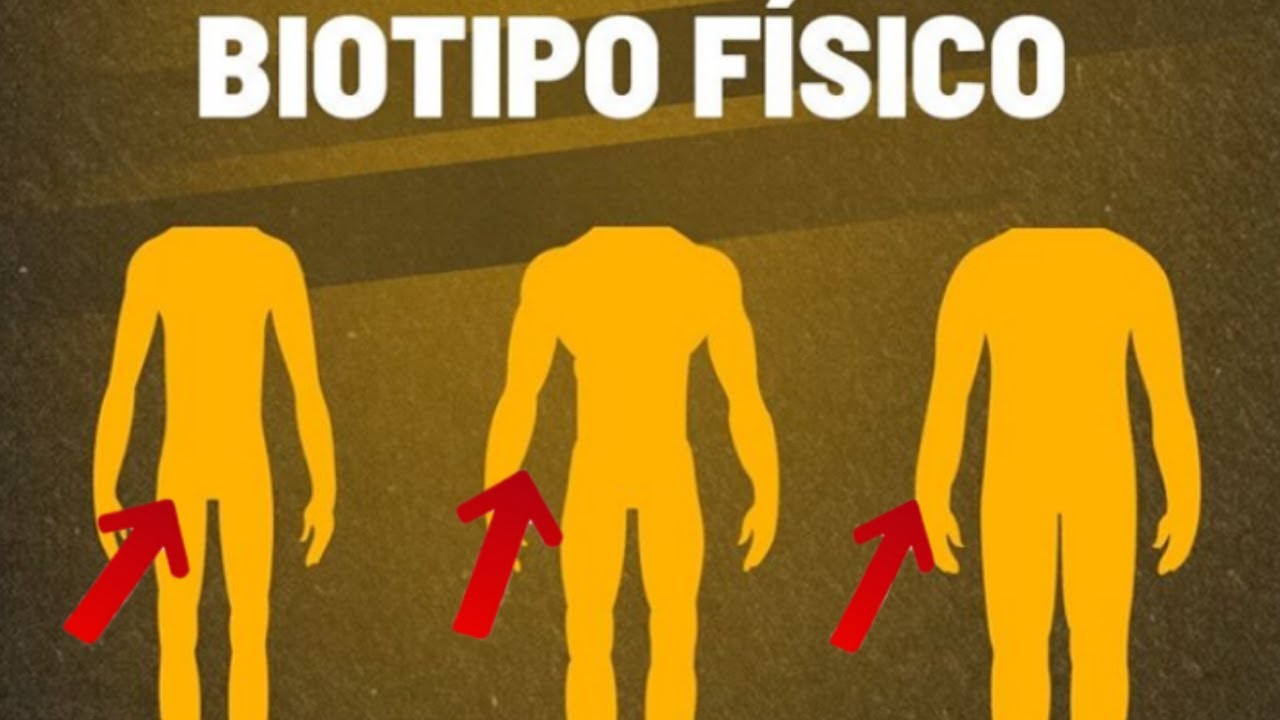 Como Saber Biotipo Pelo Pulso Como Saber Biotipo Pelo Pulso
