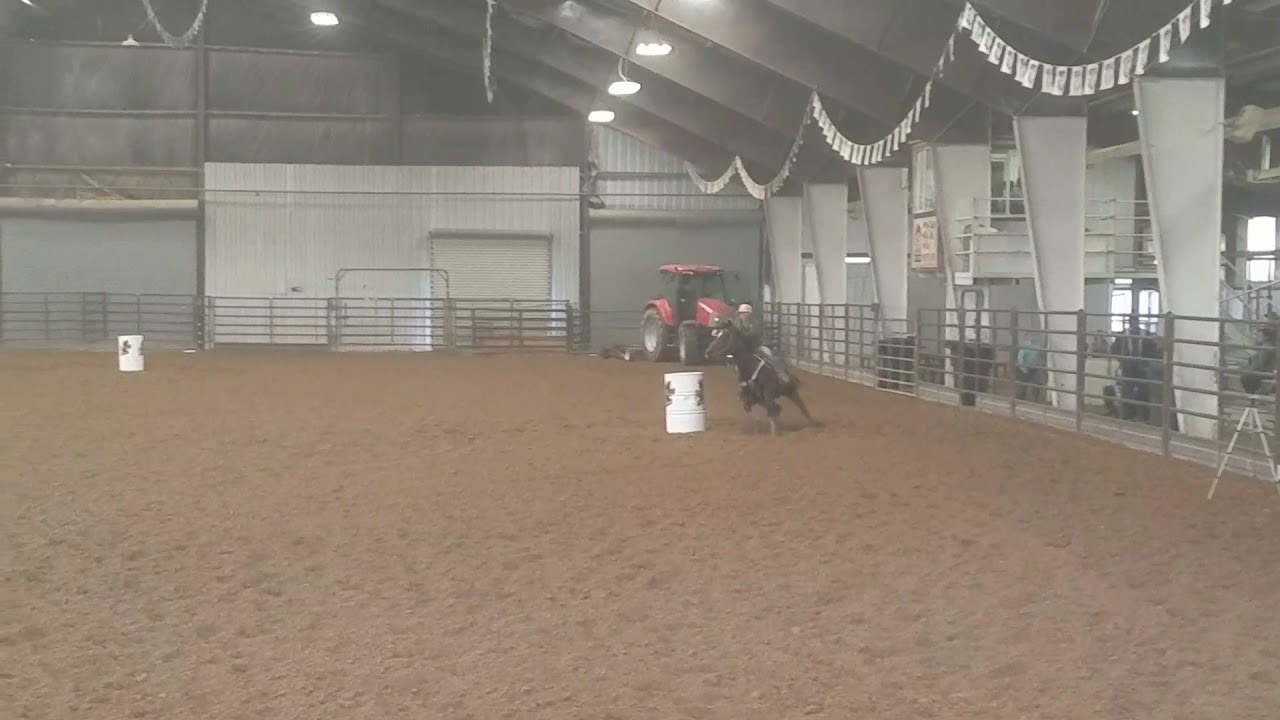 4 yr old bay Dash Ta Fame, Bully Bullion - YouTube