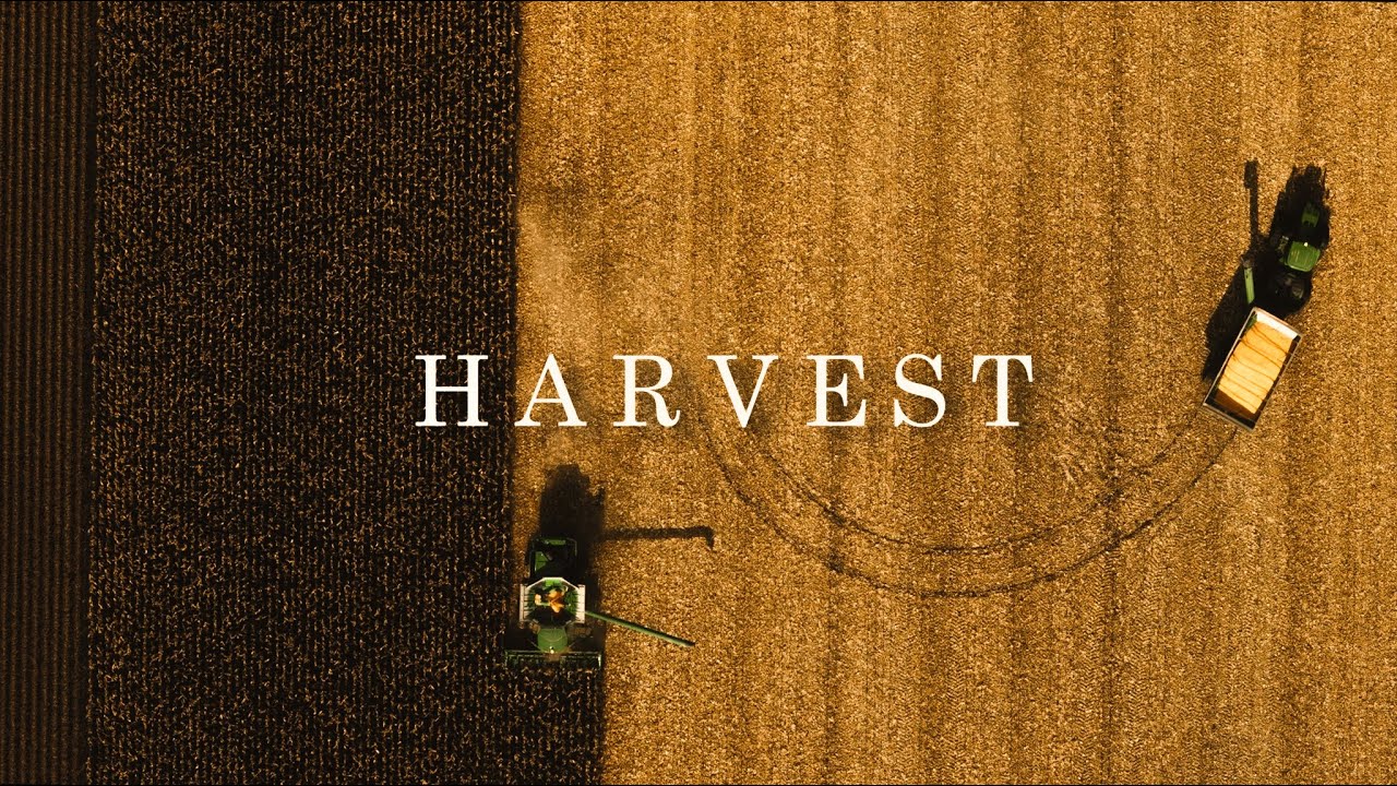 HARVEST- A Short Documentary - YouTube