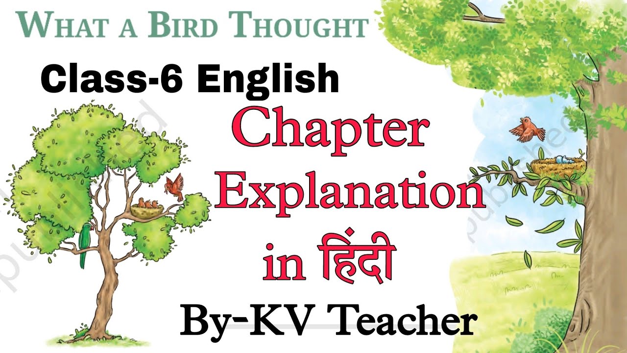 What A Bird Thought Class 6 English NCERT Poorvi Unit 3 Chapter 2 what-a-bird-thought-class-6-english-ncert-poorvi-unit-3-chapter-2