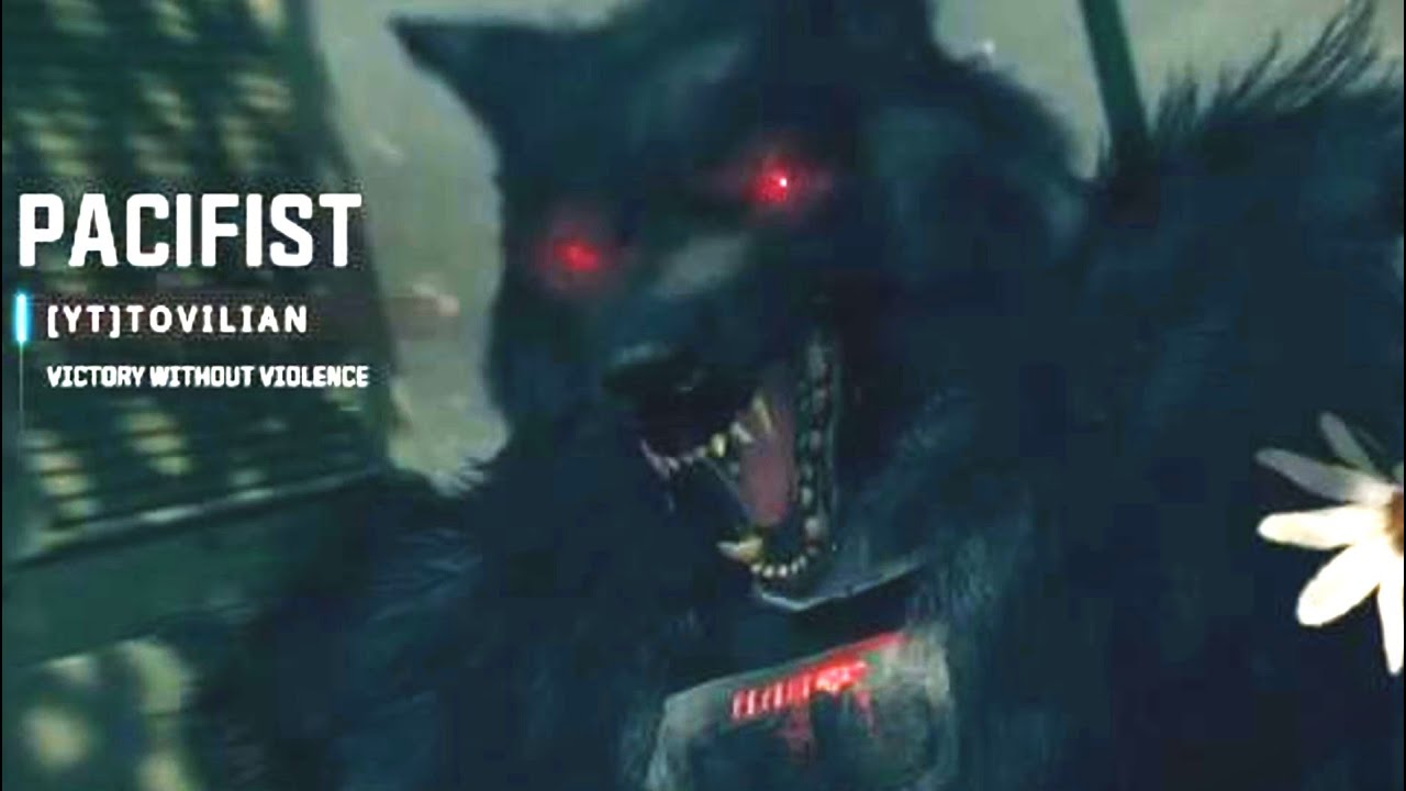 My 1st Pacifist Win In Warzone - YouTube