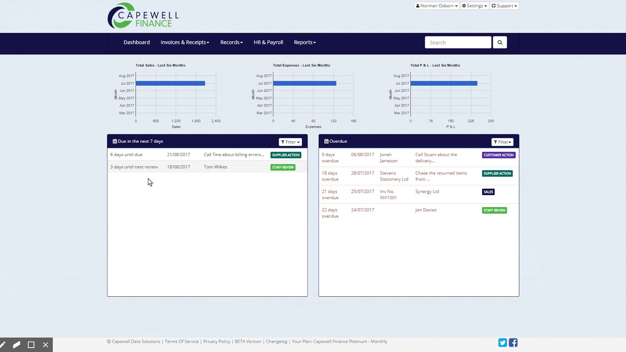 The Capewell Finance & HR Dashboard - YouTube