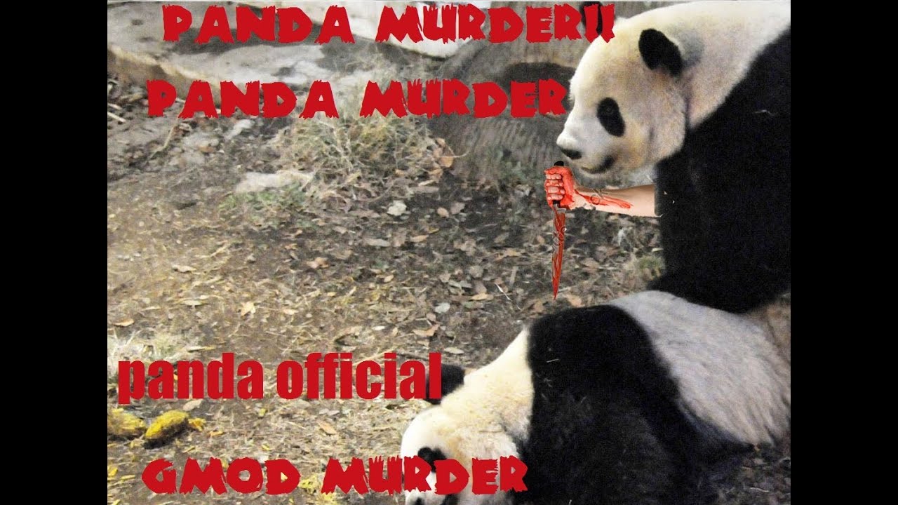 PANDA MURDER!!! (Gmod murder) ft. the pandas (HD) - YouTube