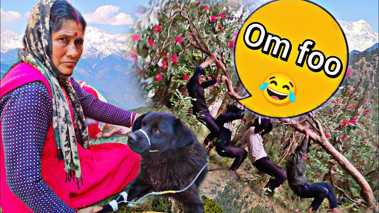 भोटू को लेजाना पड़ा Hospital || और जंगल में Om Fo fo 😂 || Pahadi ...