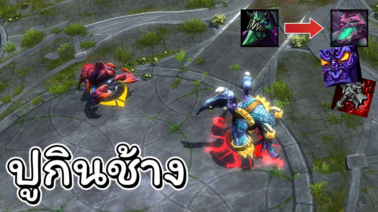 Hon พี่ตุ๋ยมาแล้ว แต่ตานี้ไม่ตุ๋ย - Tremble - YouTube