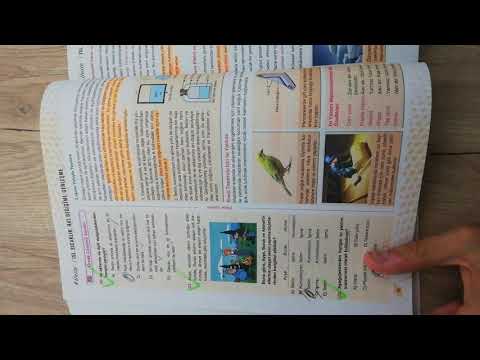 2020 TYT PALME FİZİK KONU ANLATIMLI KİTAP İNCELEMESİ!!!!!!