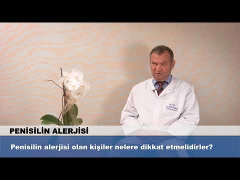 Penisilin alerjisi olan kişiler nelere dikkat etmelidirler?