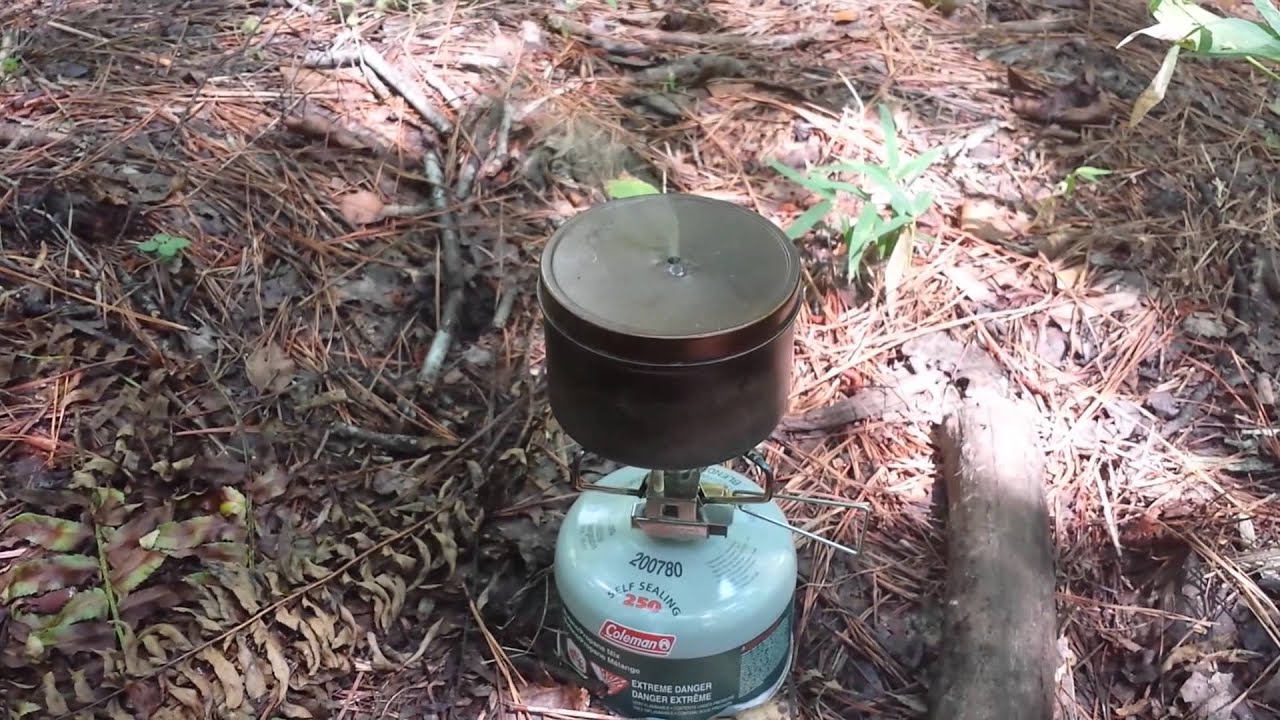 Charing Punk Wood - YouTube