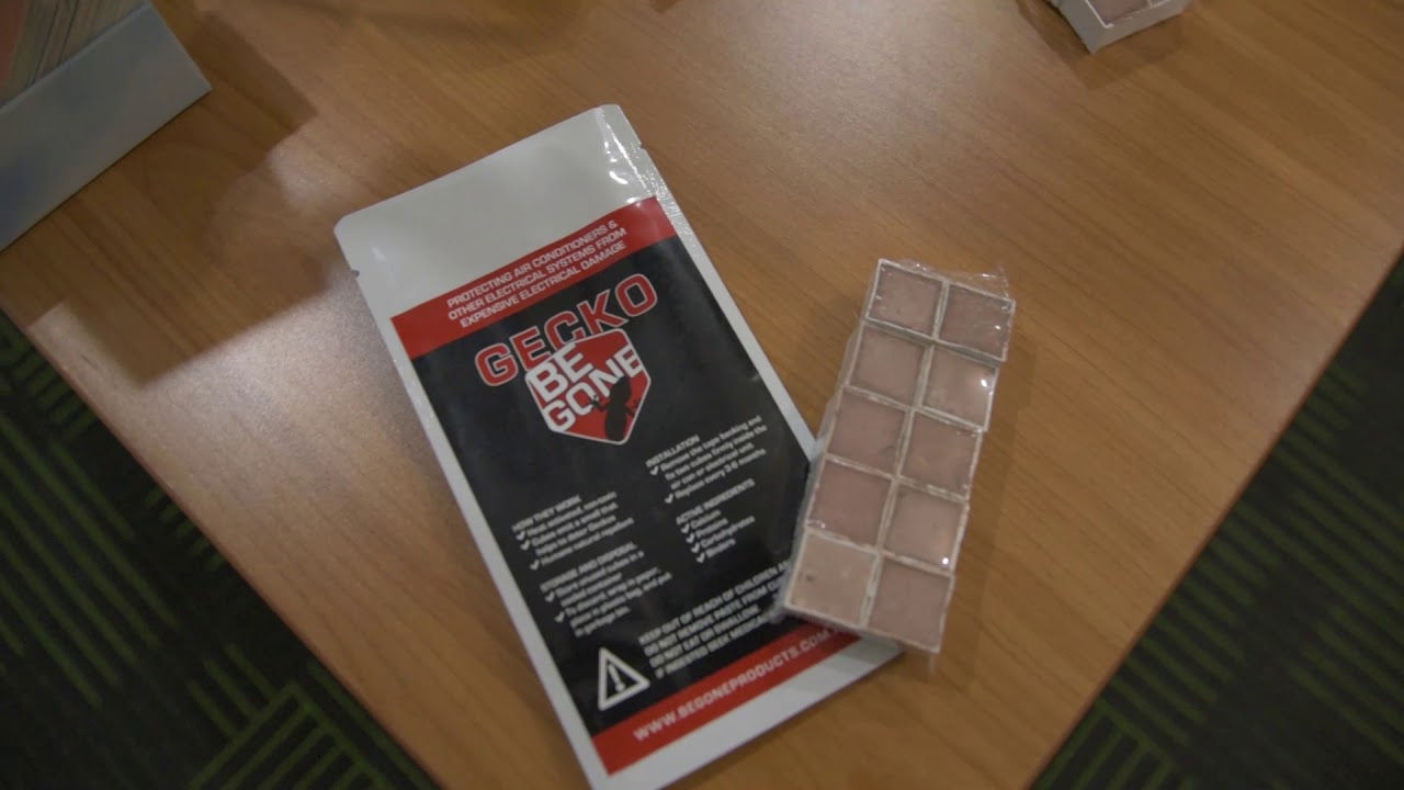 Be Gone Gecko | The must have product to keep Gecko's out of your ...