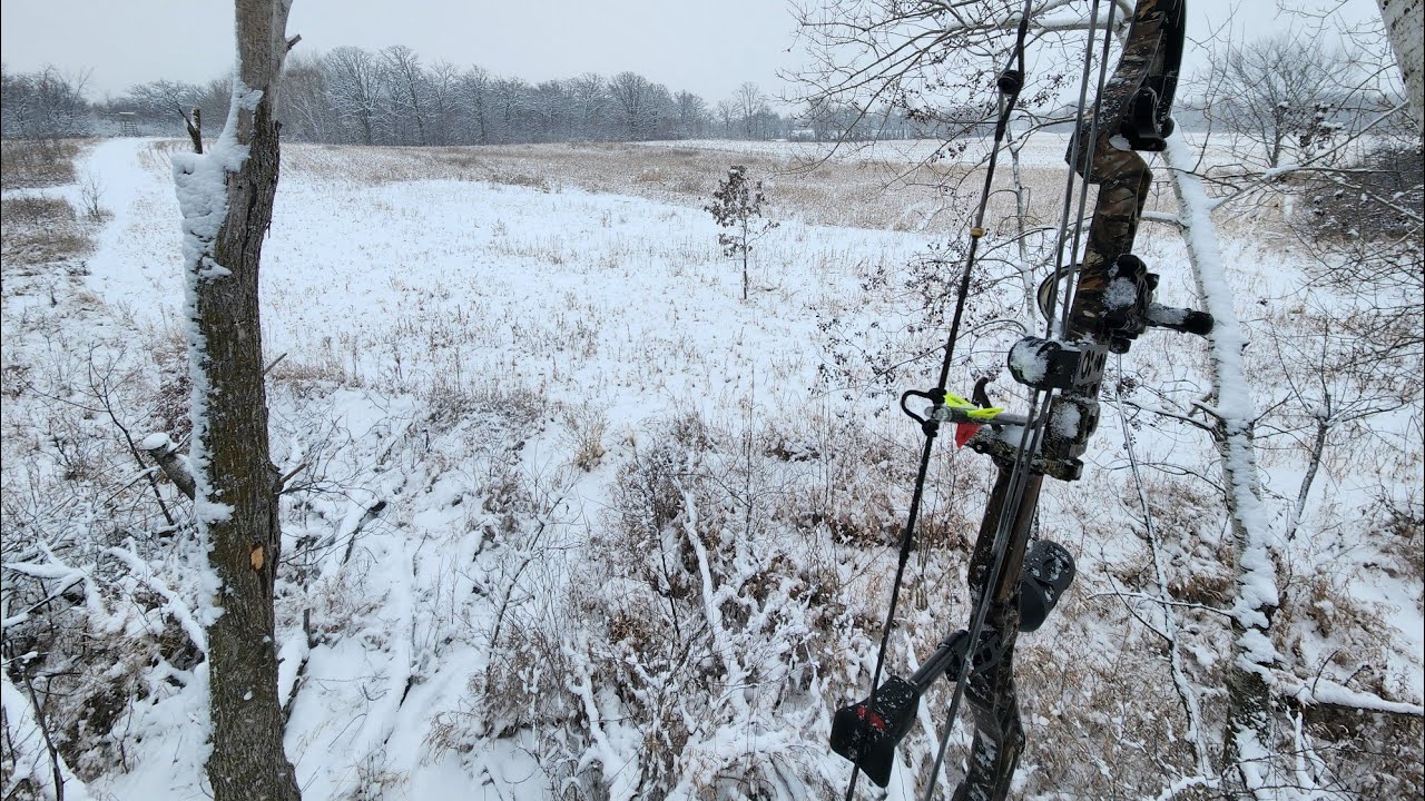 One of the Best, Most Underrated Days to Hit the Bow Stand - YouTube