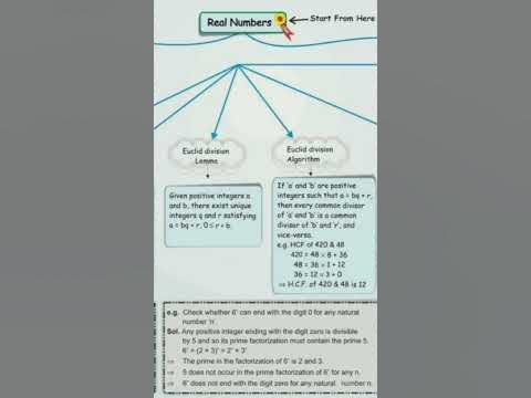 Class 10th CBSE 2023-24 😎 | Maths ch-1 Real Number | Mind Map #maths # ...