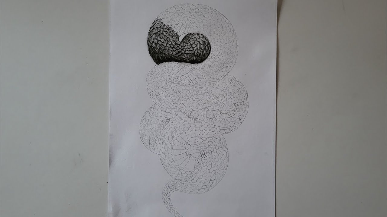 Realistic Snake Pencil Sketch Live - Part 2: Advanced Scales Shading! 🐍 ...