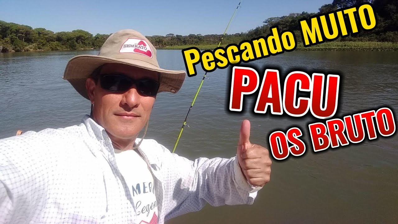 Olha o tamanho desse Pacu - Rio Itiquira/MT - YouTube