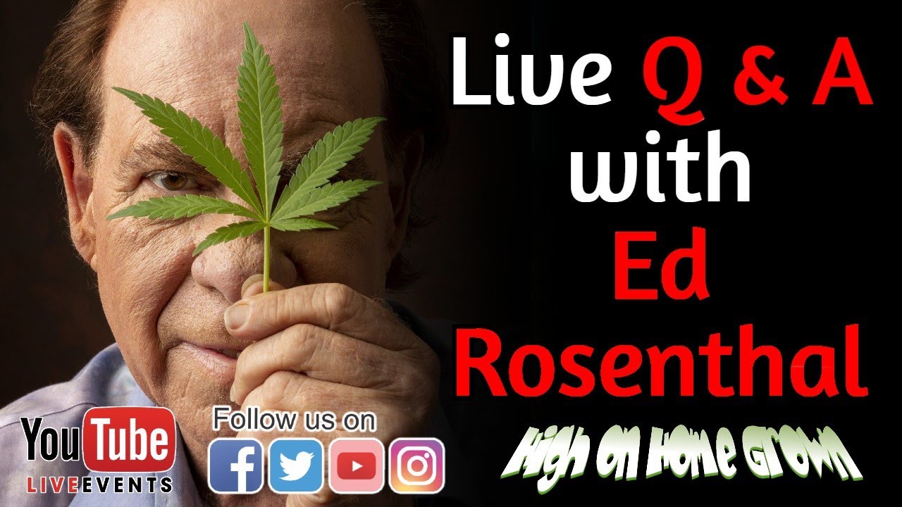 Live Q&A with Ed Rosenthal, Legendary Cannabis Author! - YouTube