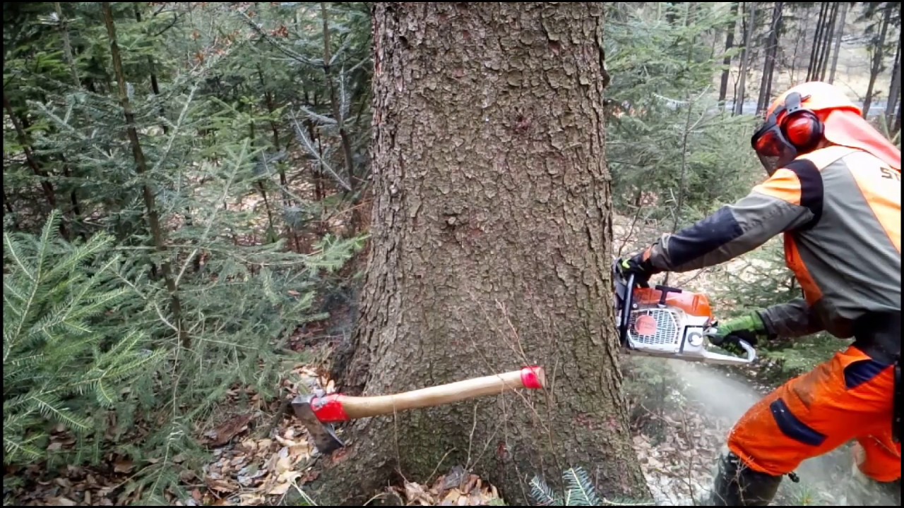 Work in forest, 316-2020, Im Wald arbeiten, Práce v lese 🇨🇿 - YouTube