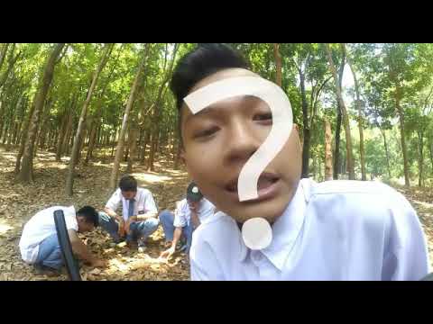 Kediri keras lorr.., jomblo duduk musibah....