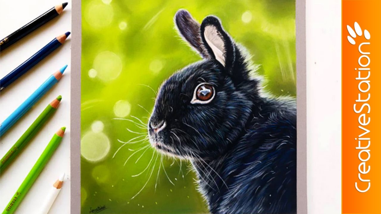 Bunny rabbit - Speed Drawing | CreativeStation - YouTube