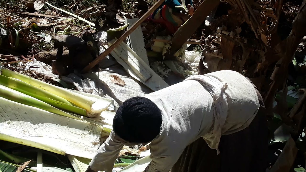 HOW TO MAKE GURAGE TRADITIONAL FOOD KOCHO - YouTube