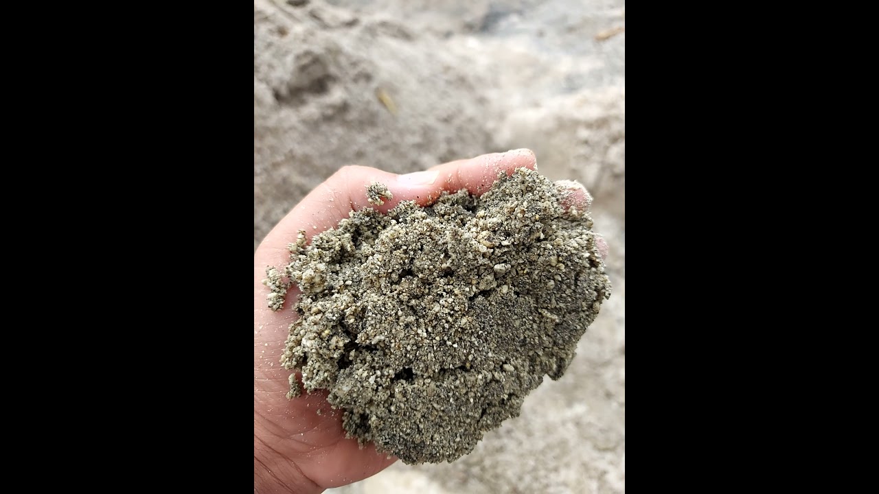 Pasir Putih Rangkas Cuci Saringan Medium Cor Pasang Plester - YouTube