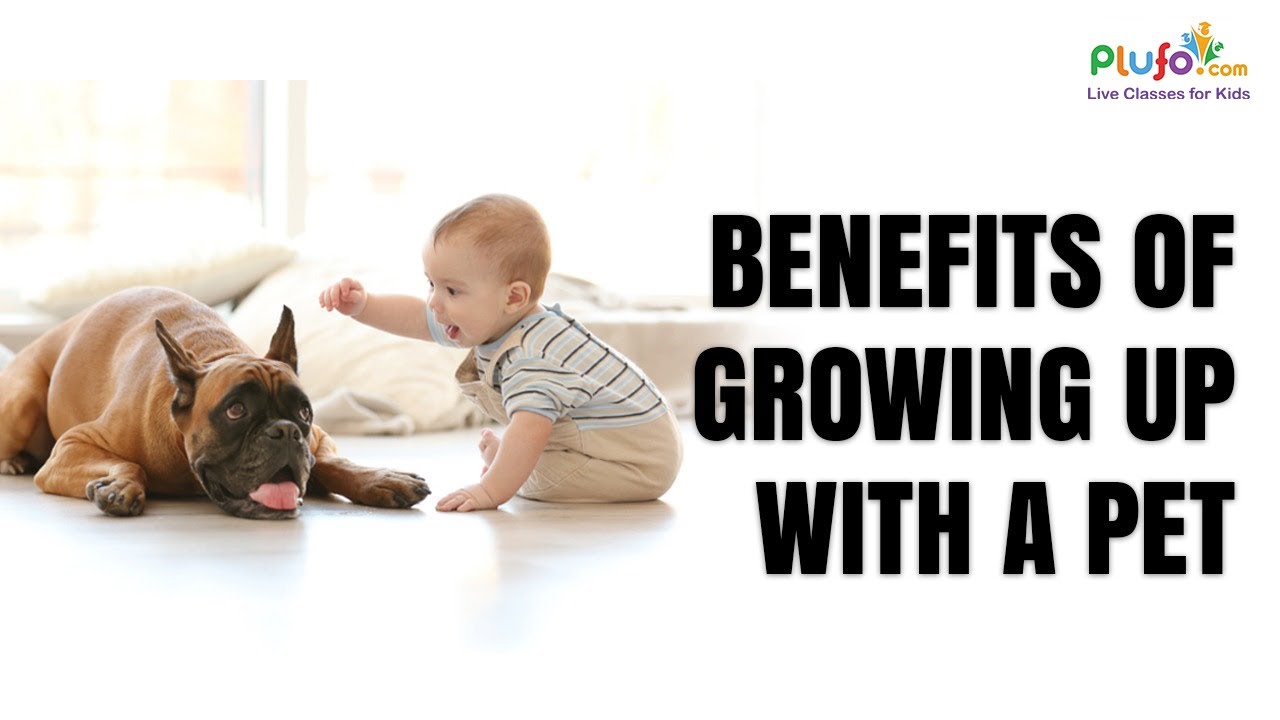 Benefits of Growing Up with a Pet | Pets Video | Dog videos ...