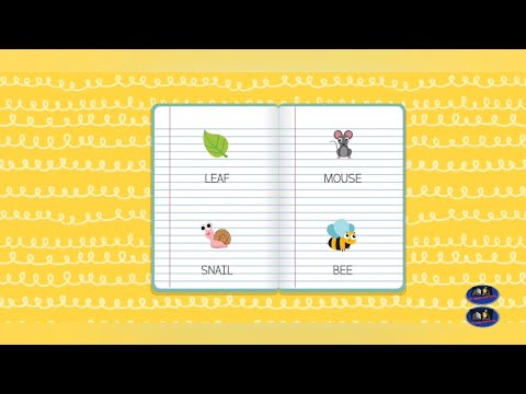 Learn vocabulary English with pictures | Learn Vocabulary for kids ...