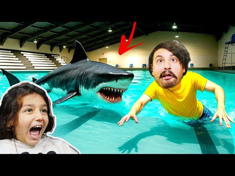 KÖPEKBALIKLARIYLA DOLU HAVUZDAN KAÇMAK İÇİN DURMADAN YÜZ | SHARKS AND MINNOWS