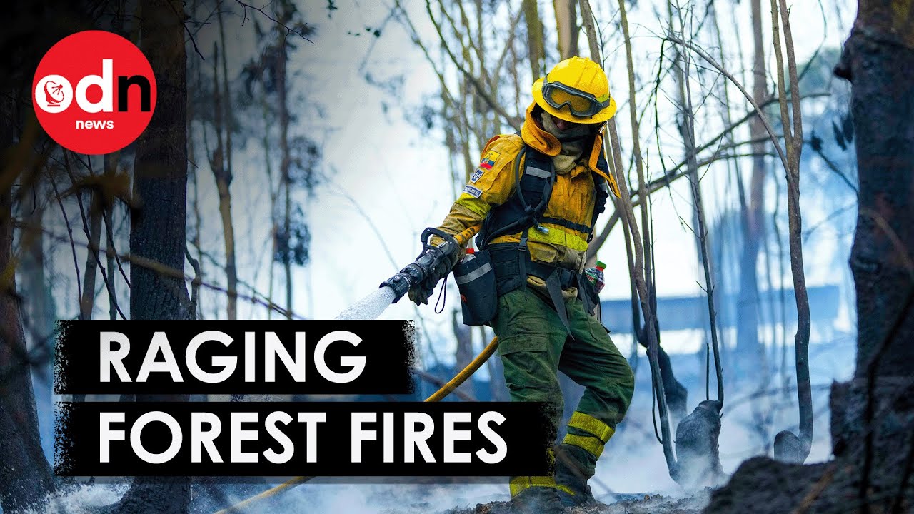 RAGING Forest Fires Spread In Ecuador - YouTube