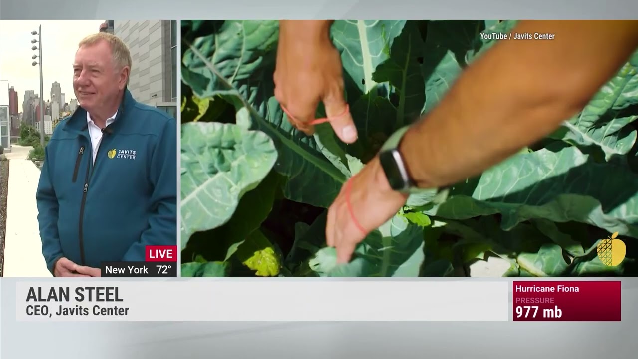 The Weather Channel Interviews Javits Center's CEO Alan Steel - YouTube