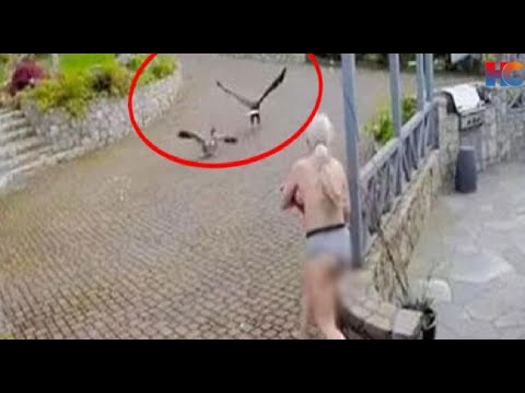 Bebeğini Emziren Kadın Kartalın Kazı Öldürdüğünü Görünce Çırılçıplak Yardıma Koştu !