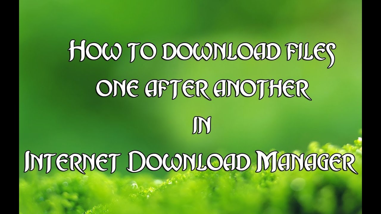 How To Download Files One After Another In Internet Download Manager How To Download Files One After Another In Internet Download Manager