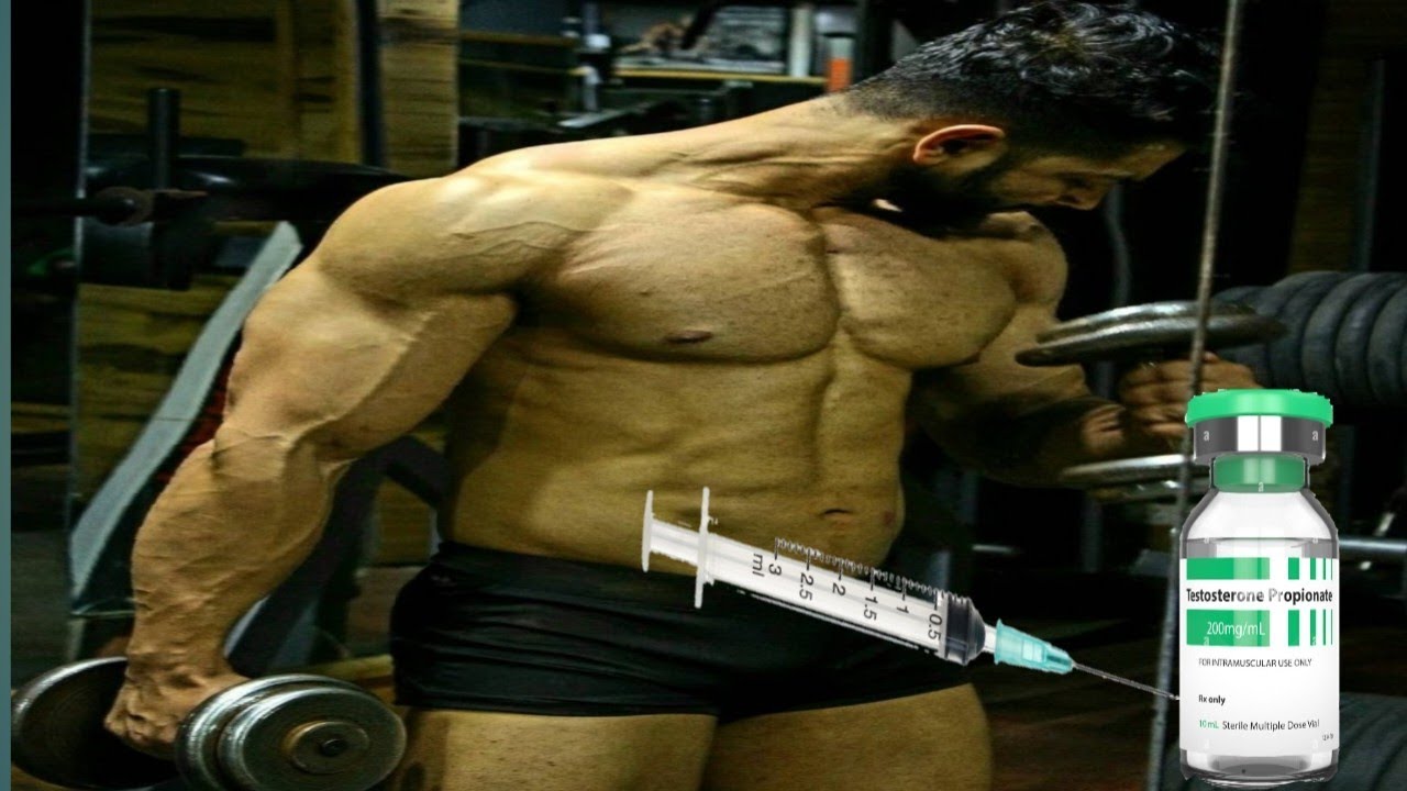 My Steriod Cycle l Harsh Truth about bodybuilding No one tells you ...