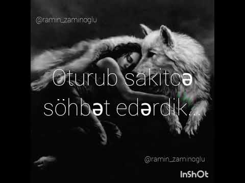 Ramin Zaminoğlu _-_ boş xəyallar - 2019 (Şeir)