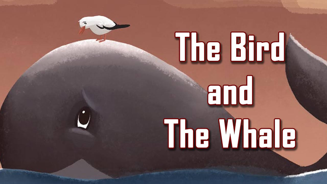 THE BIRD AND THE WHALE: A LOVE STORY - YouTube