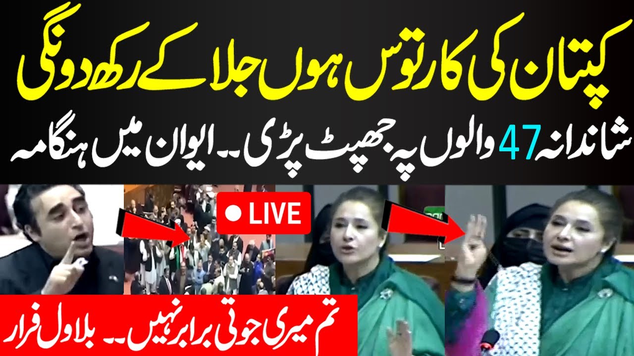 Shandana Gulzar's First Fiery And Blasting Speech At Parliament Today ...