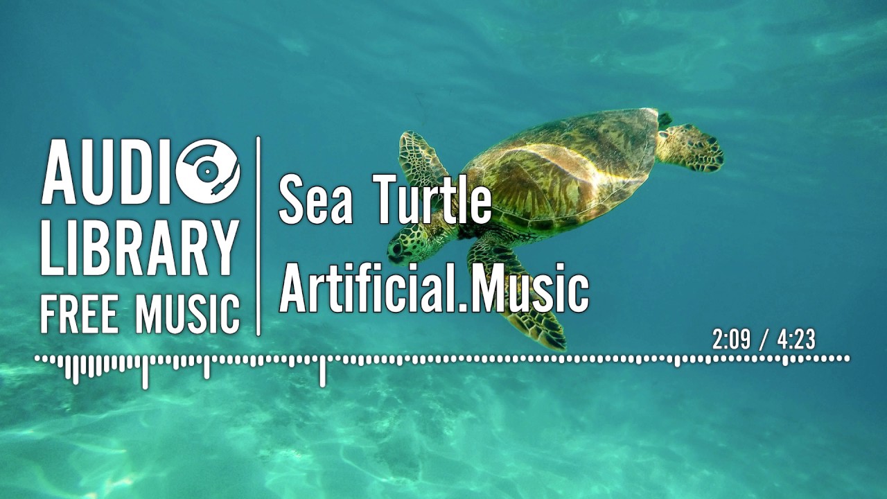 Sea Turtle - Artificial.Music - YouTube
