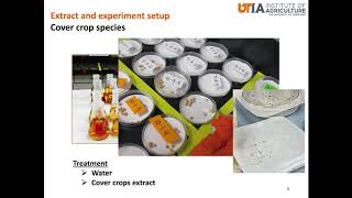 Can Cover Crops Cause Allelopathic Effects on Soybean Germination