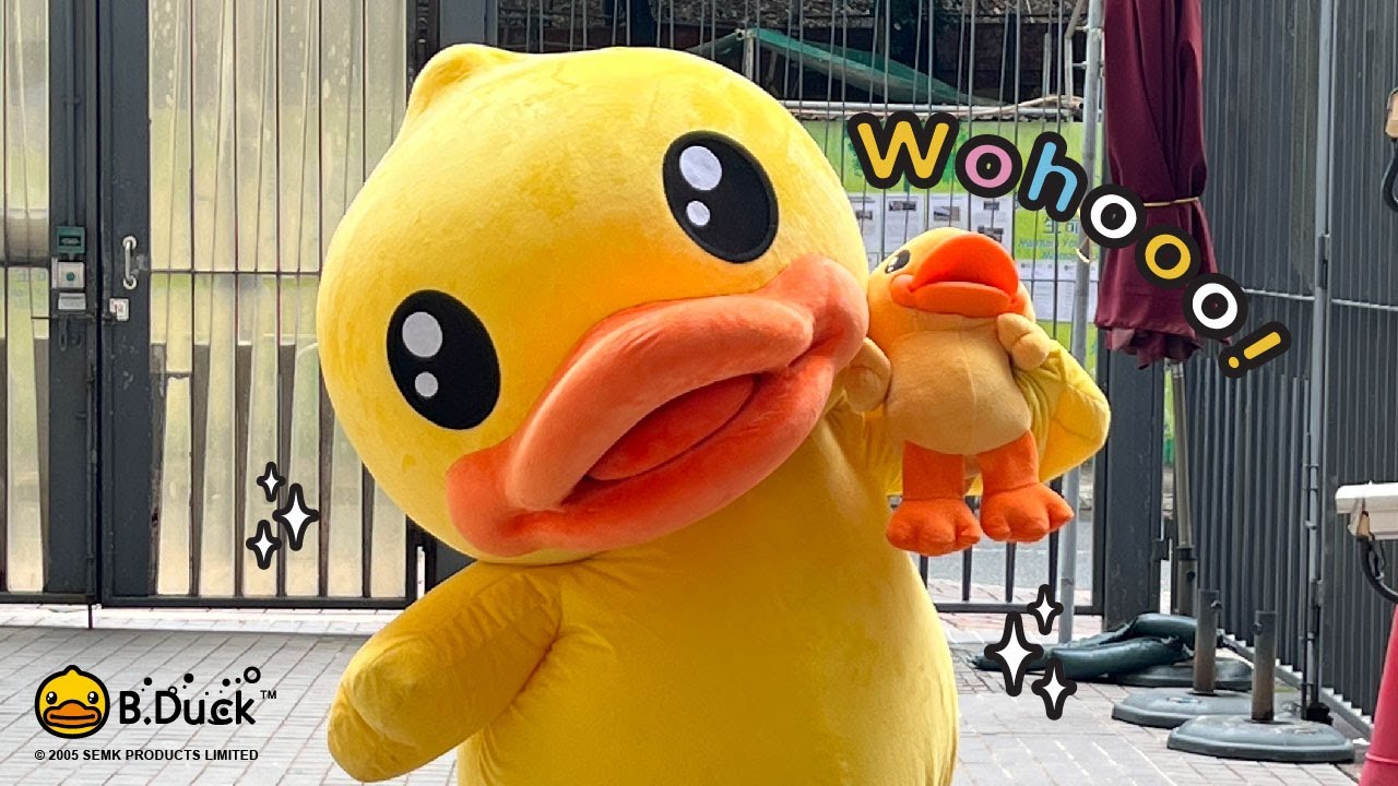 領養小B.Duck 過程足本版 ｜The adoption journey of little B.Duck - YouTube