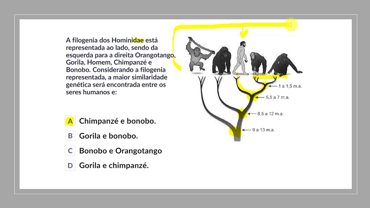 Explicação de exercícios de sistemática filogenética - YouTube