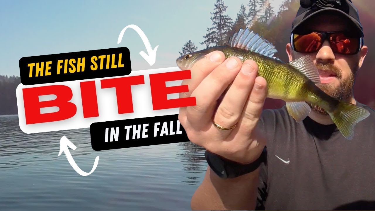 The Fish Still Bite In the Fall!!! - YouTube
