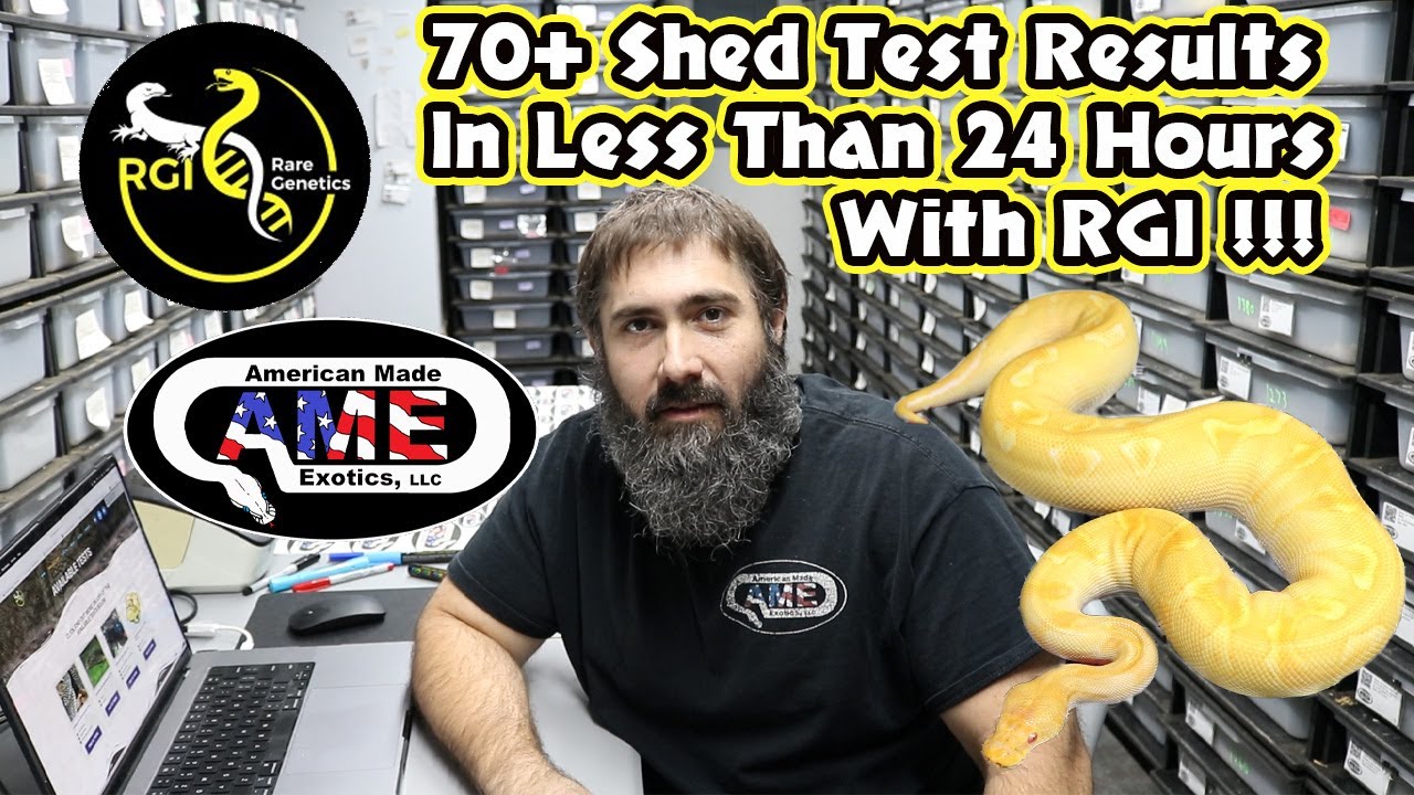 70+ Shed Test Results In Less Than 24 Hours With RGI !!! v113 AME - YouTube