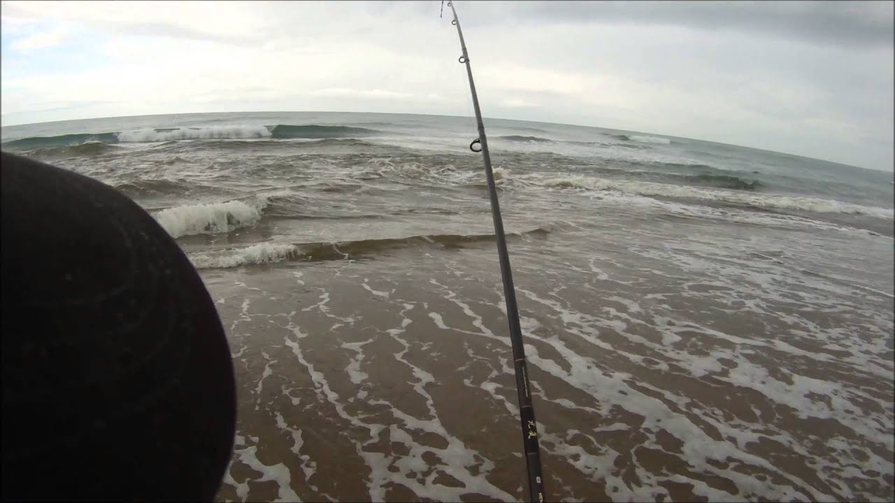 Spinning Bluefish Log Surf 124 - YouTube