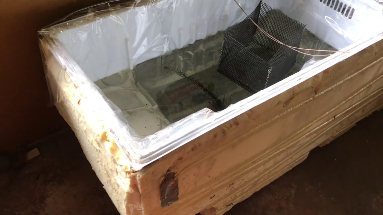 how to make fish tank using fridge box without M seal ( double door ...