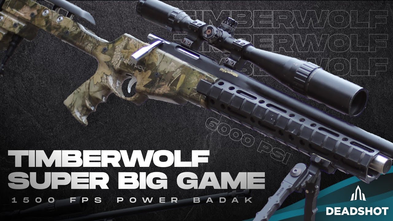 TIMBERWOLF SUPER BIG GAME!! PENDATANG BARU SEKALIGUS PESAING AWM!! PCP ...