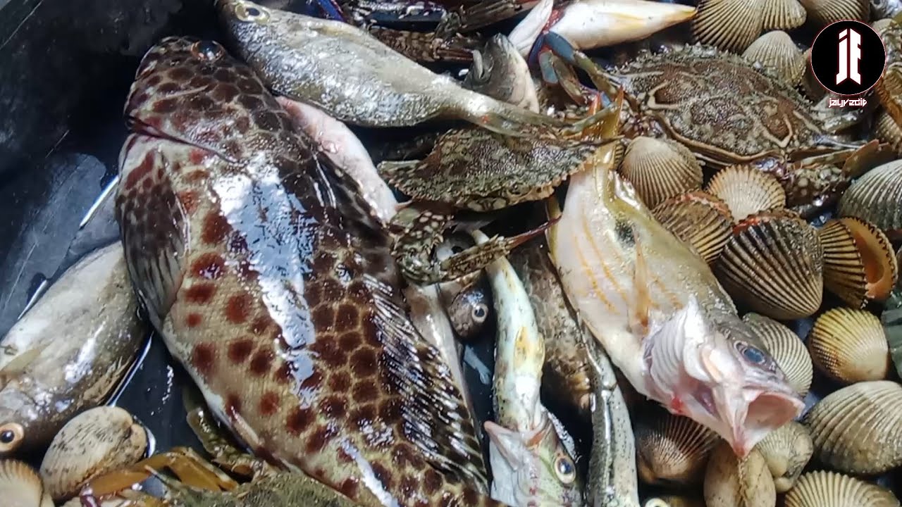 Sari sari ang nakuha ko.🦀🦐🐟🔦 #bluecrab #shrimp #fishing #seafood - YouTube